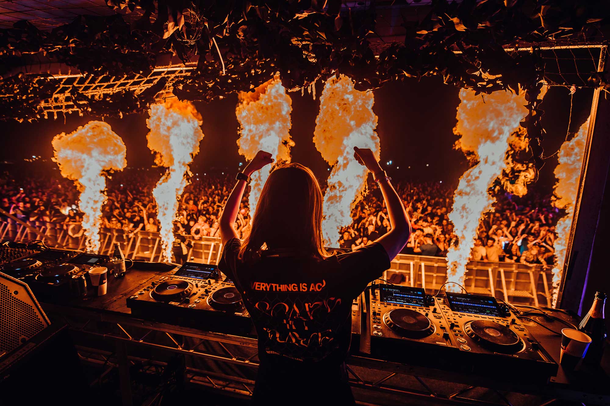 About - Mint Festival