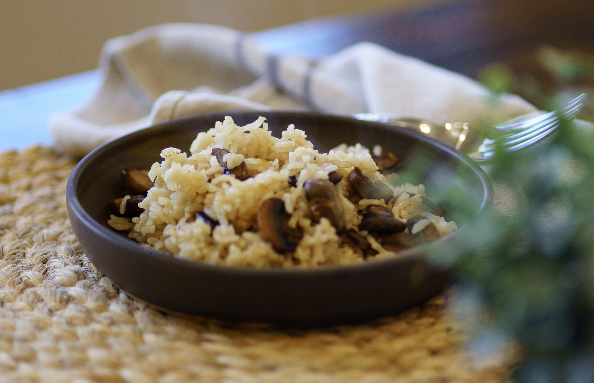 True Origin Foods: Dutch Rice