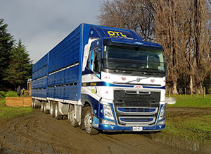 M2X Group | Transportation Management System