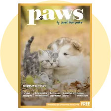 Resources - Pet Advice & Articles - Coffs Harbour