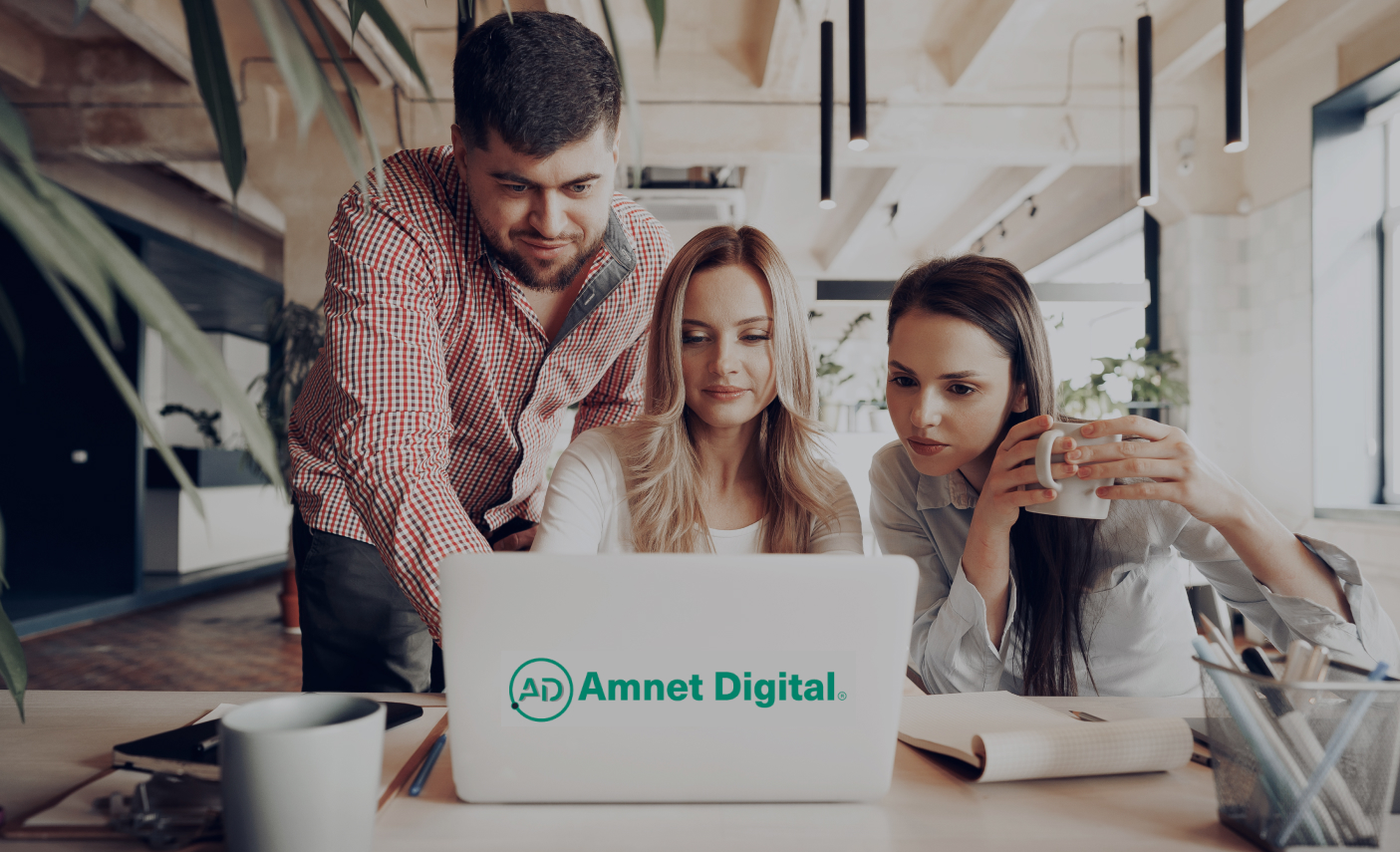 Amnet Tech Case Study | AI bees