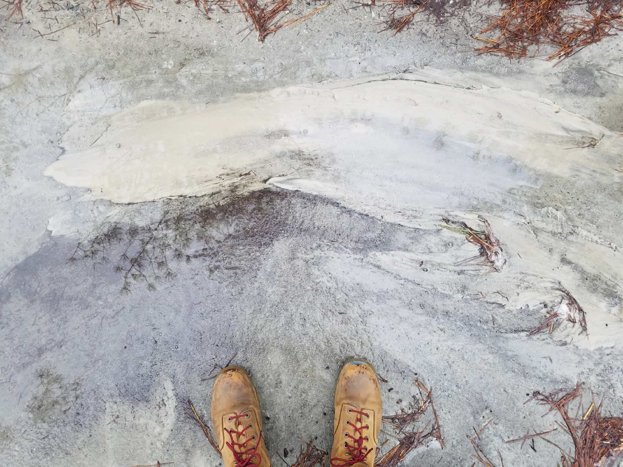 iEarth | The Center for Integrated Earth Science Education