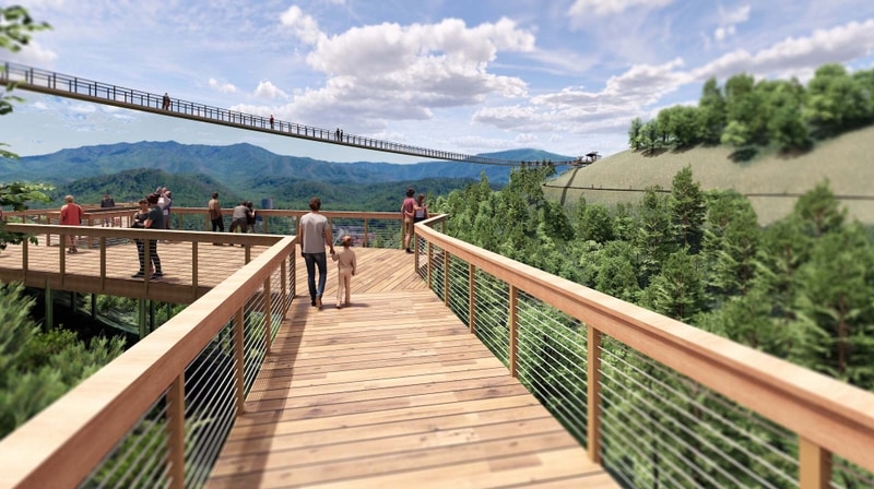 Portfolio | The Architecture Collaborative