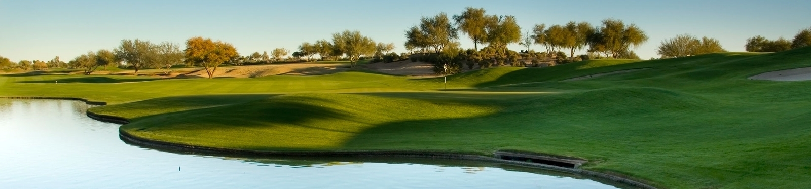 About Us | Royal Oaks