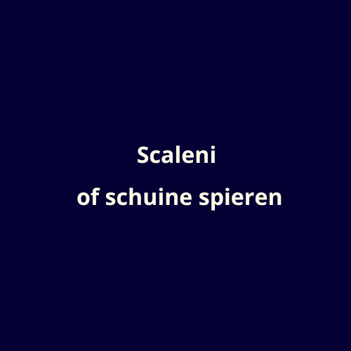 RBM Exclusive | Scaleni of schuine spieren