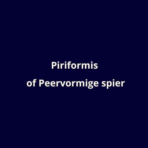 RBM Exclusive | Piriformis of Peervormige spier