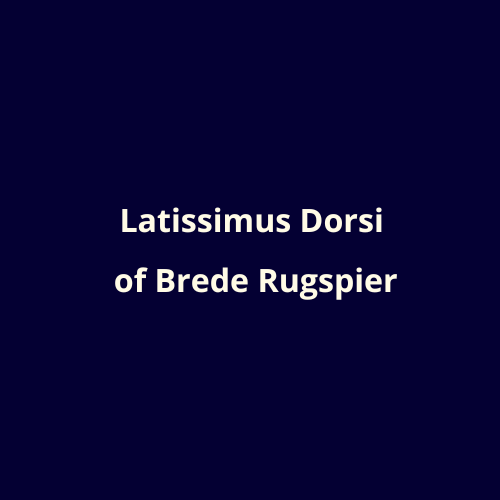 RBM Exclusive | Latissimus Dorsi of Brede Rugspier