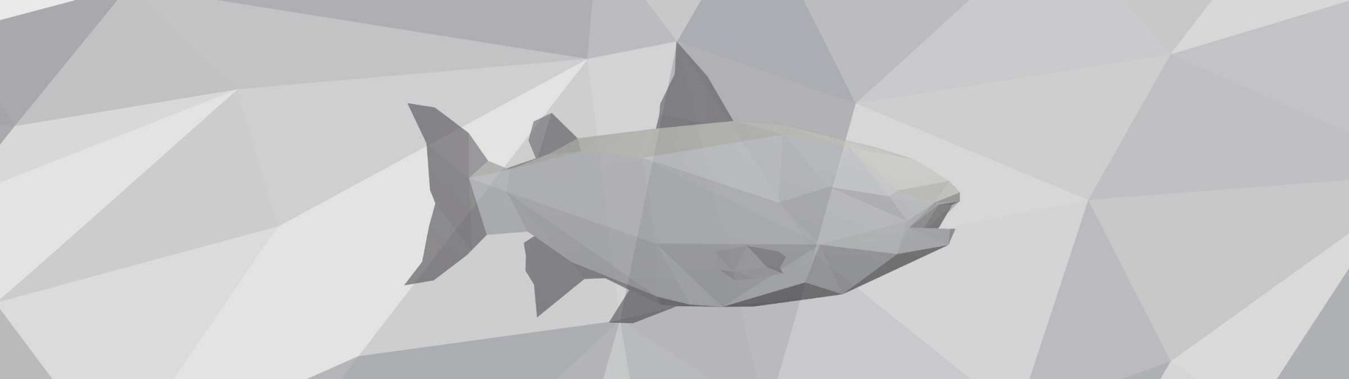 Home – BAADER Food Processing Machinery