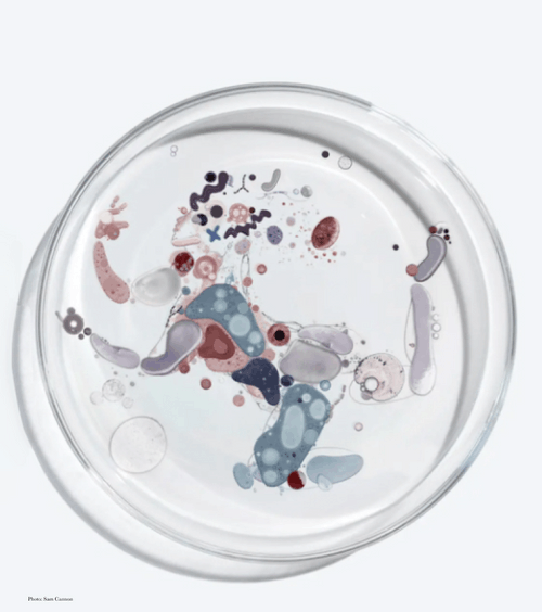 Arcaea: A Beauty Revolution Through Biology