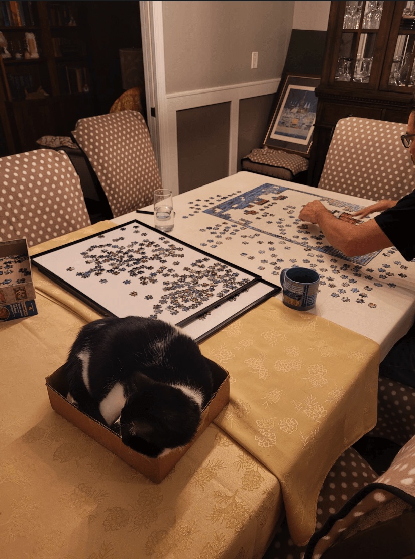 7 Best Brain Games for Adults