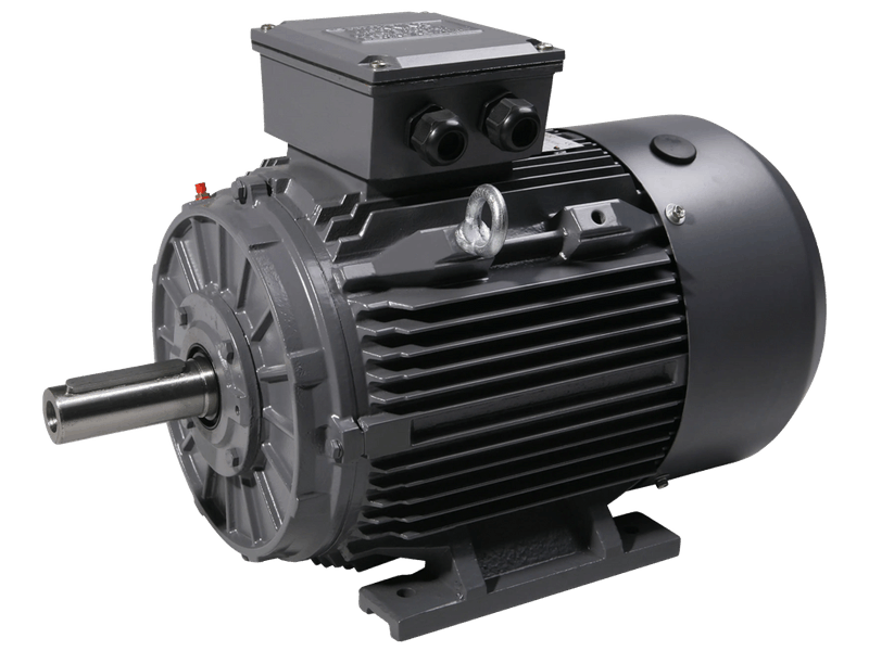 Drehstrom - Asynchronmotor IE4 | Antriebe Rüti AG, Antriebstechnik ...