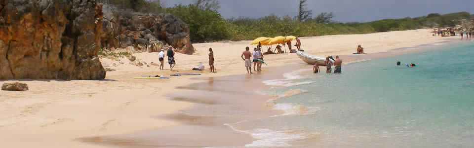 Learn about Tintamarre Island in St. Martin & St. Maarten