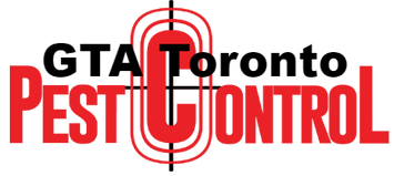 Ant Control & Removal Services in Toronto - GTA Toronto Pest Control