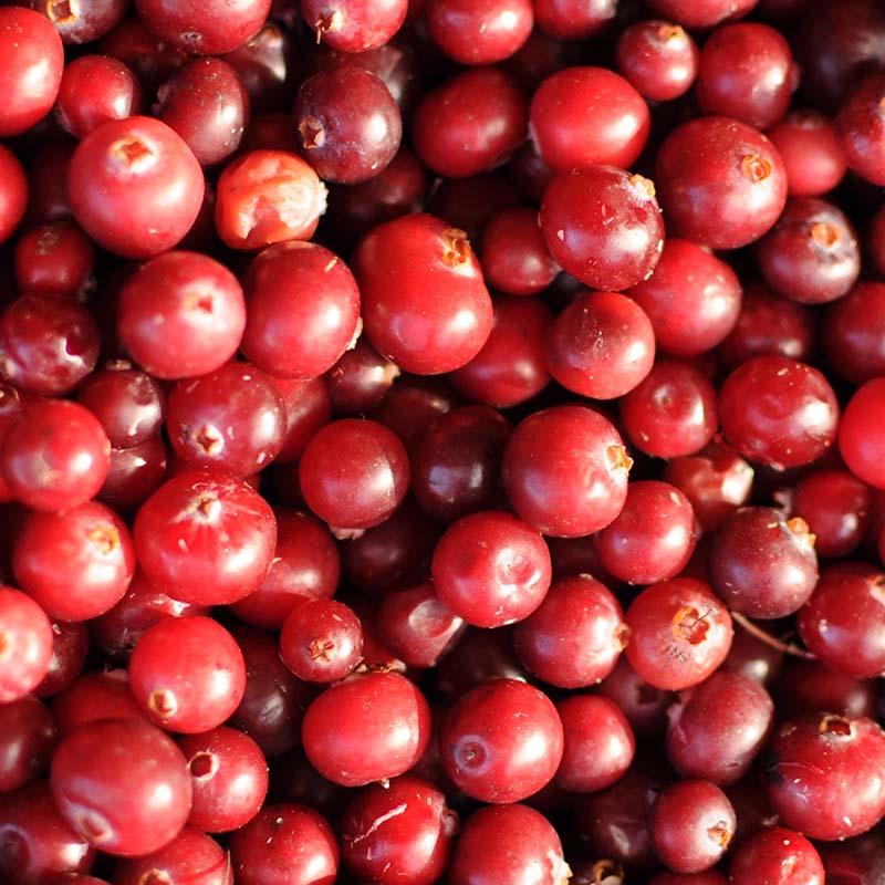 美清片(發泡錠) ALPHA HOPE