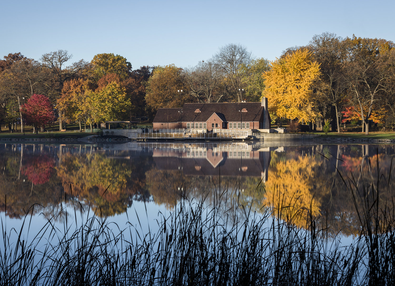 Why Do People Love Glen Ellyn So Much?