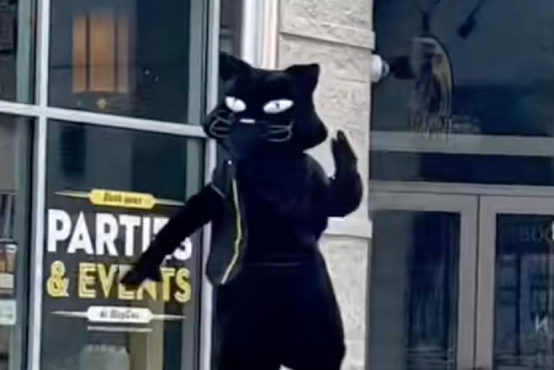 HopCat | A Local Craft Beer Bar