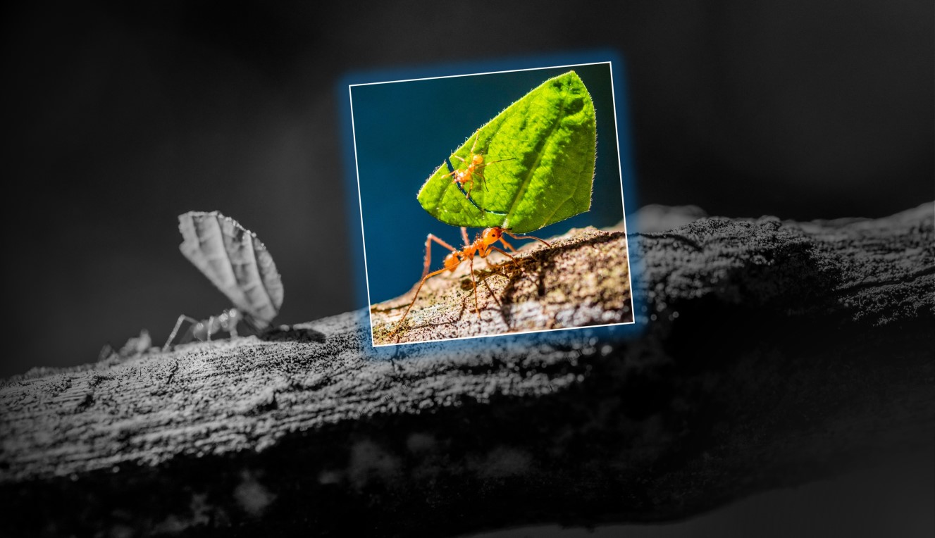 Zahlungsverkehr | Incentage AG