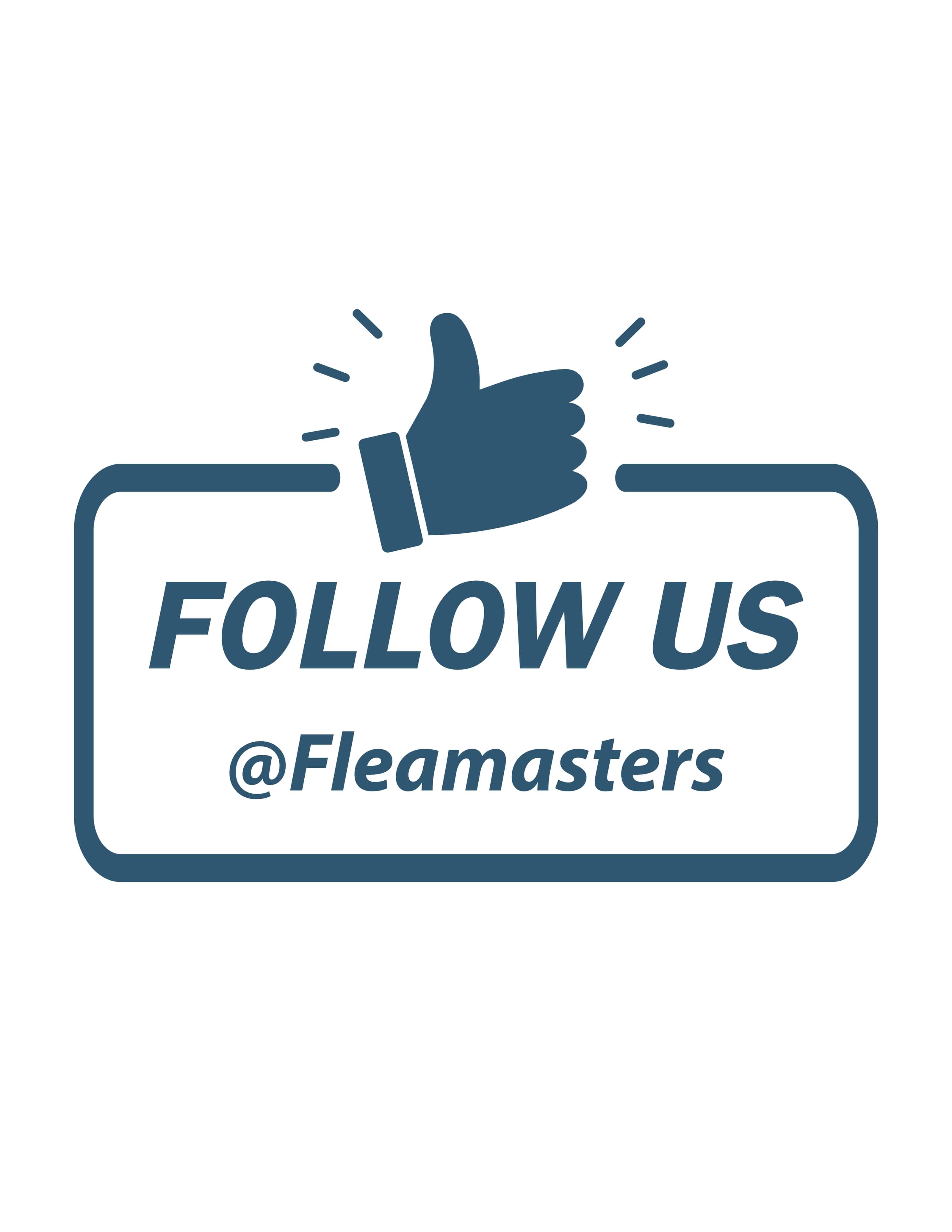 Fleamasters Flea Market - Visit