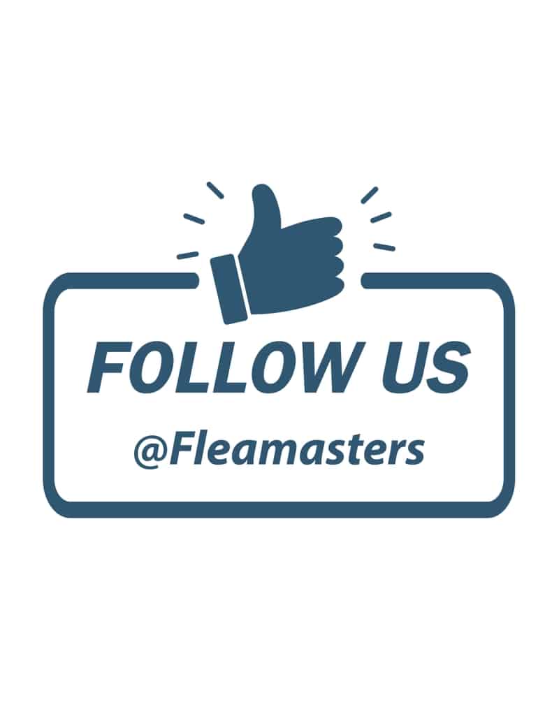 Fleamasters Flea Market - Visit