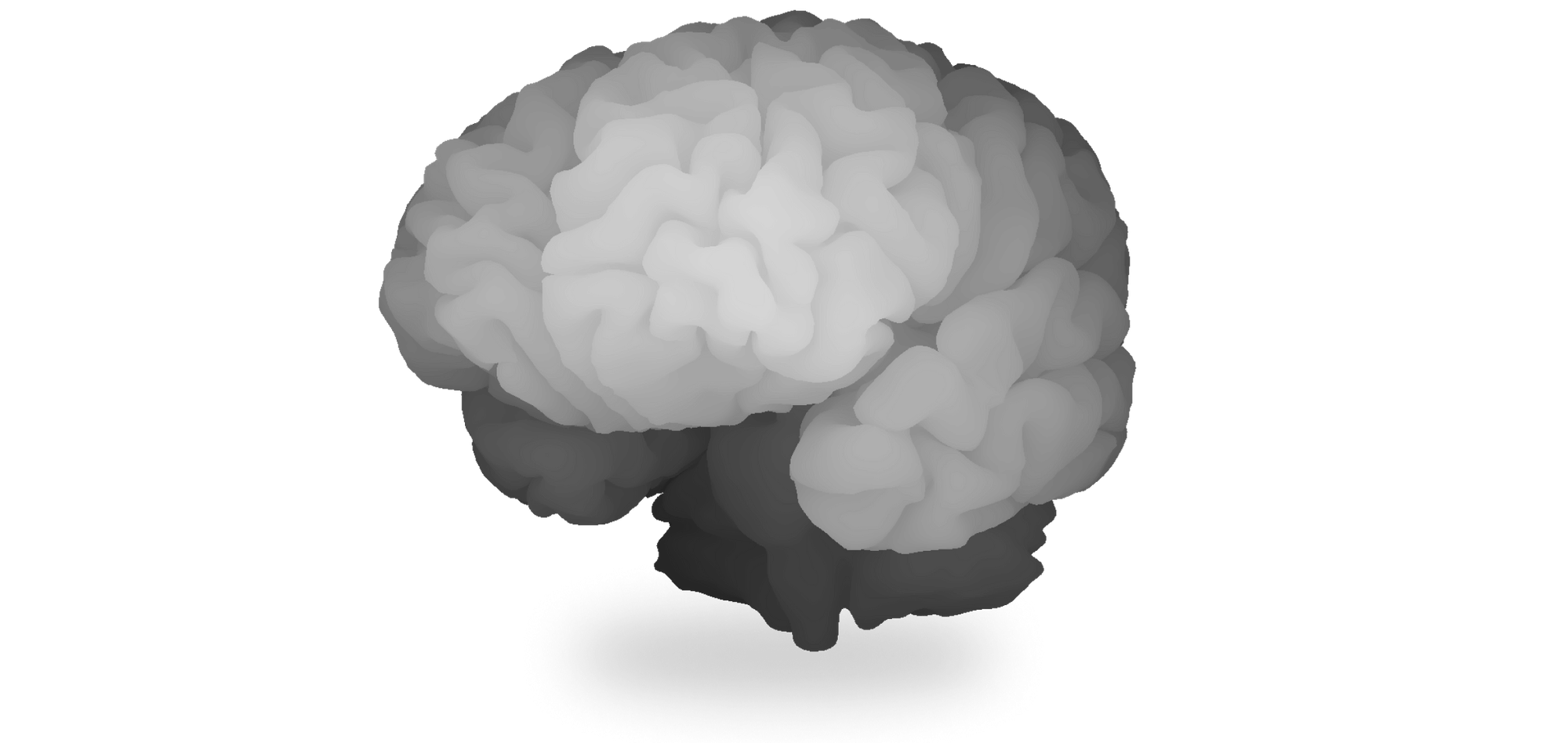 MetaCell | World Leaders In Software For Life Science