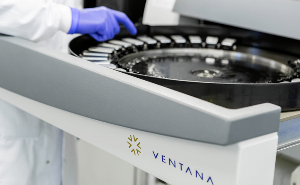 GLP/GCP Compliant IHC