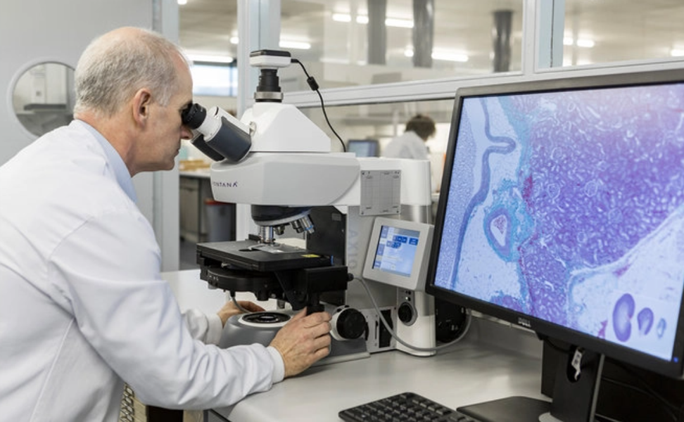 GLP-GCP compliant histology