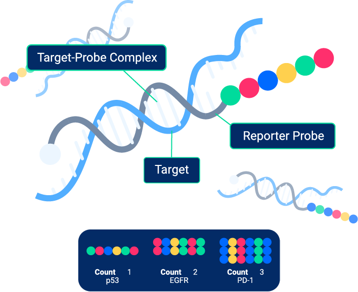 Propath - Specialists in molecular pathology and histopathology