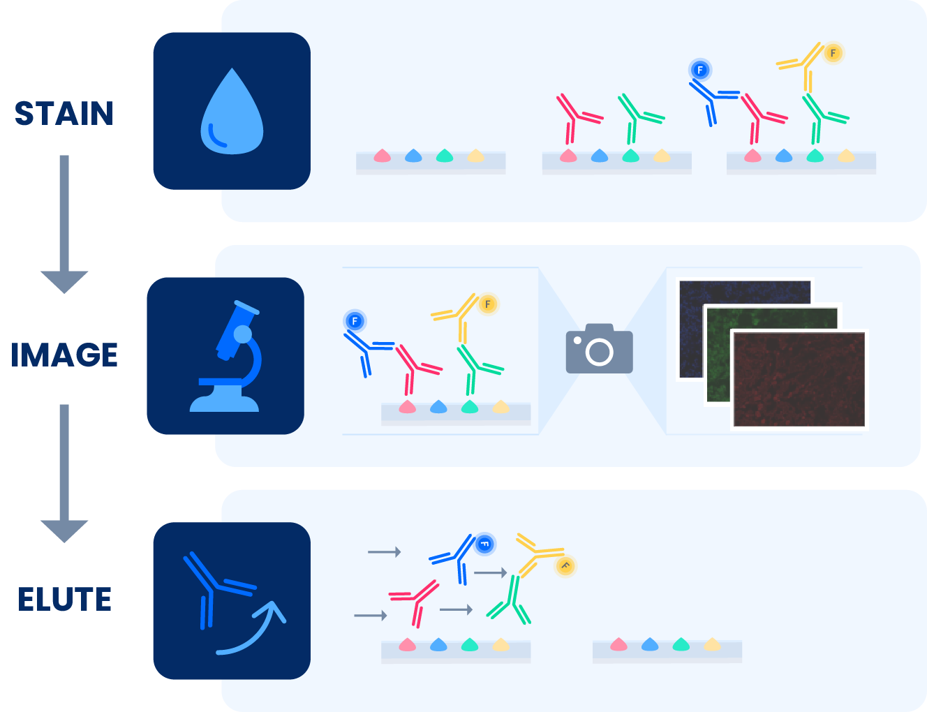 Lunaphore Comet Spatial Proteomics