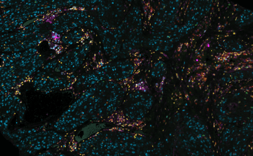 Lunaphore Comet Spatial Proteomics