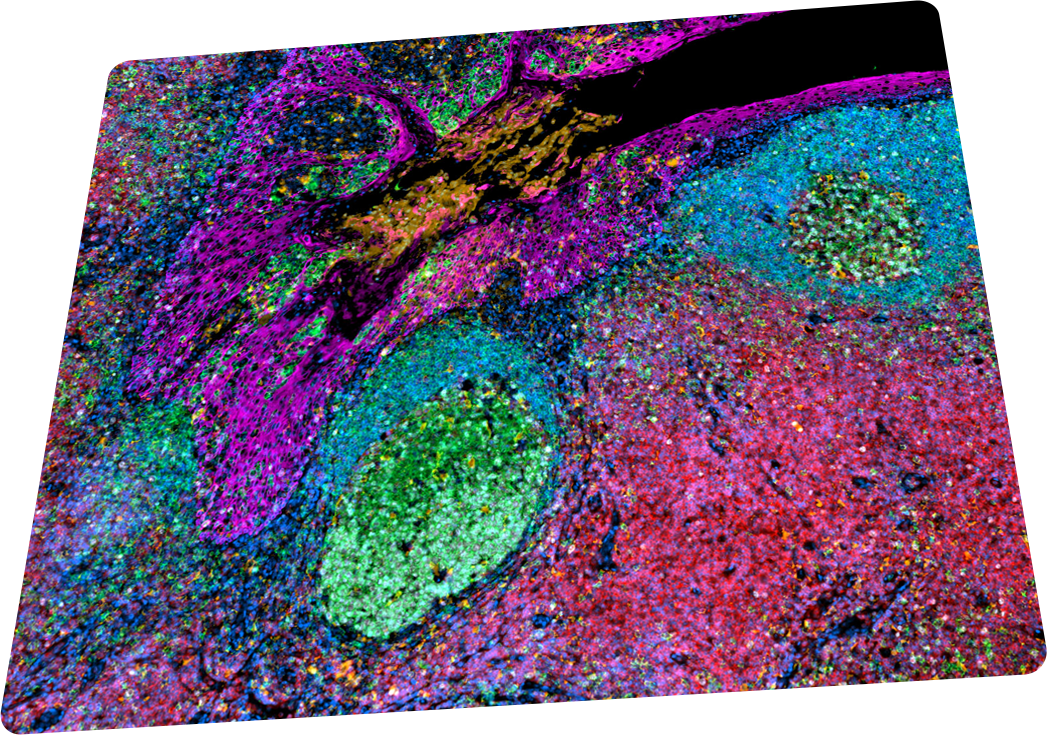 Propath - Specialists in molecular pathology and histopathology