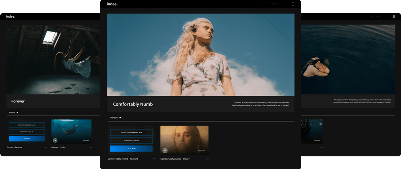 Indee Secure Screeners