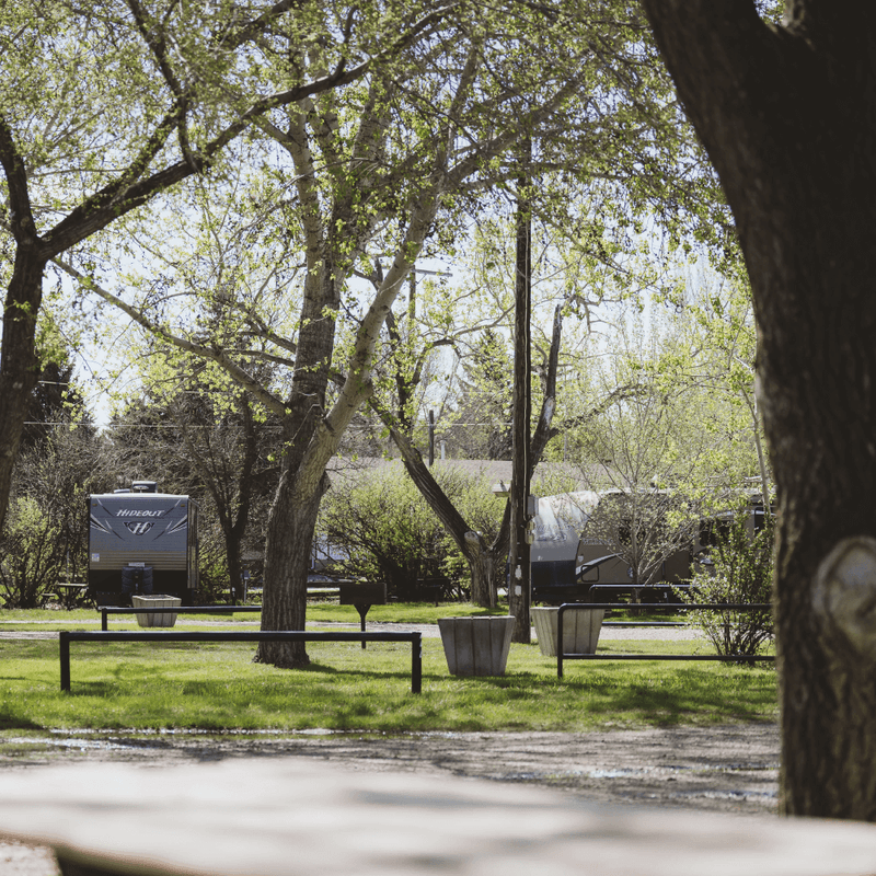 Campground | Gull Lake Recreation