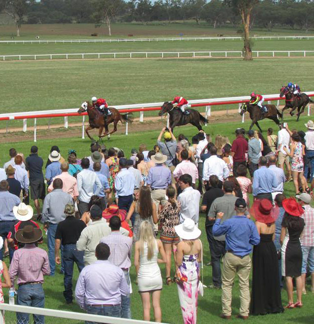 Quirindi Jockey Club | The Show Course of Country Racing