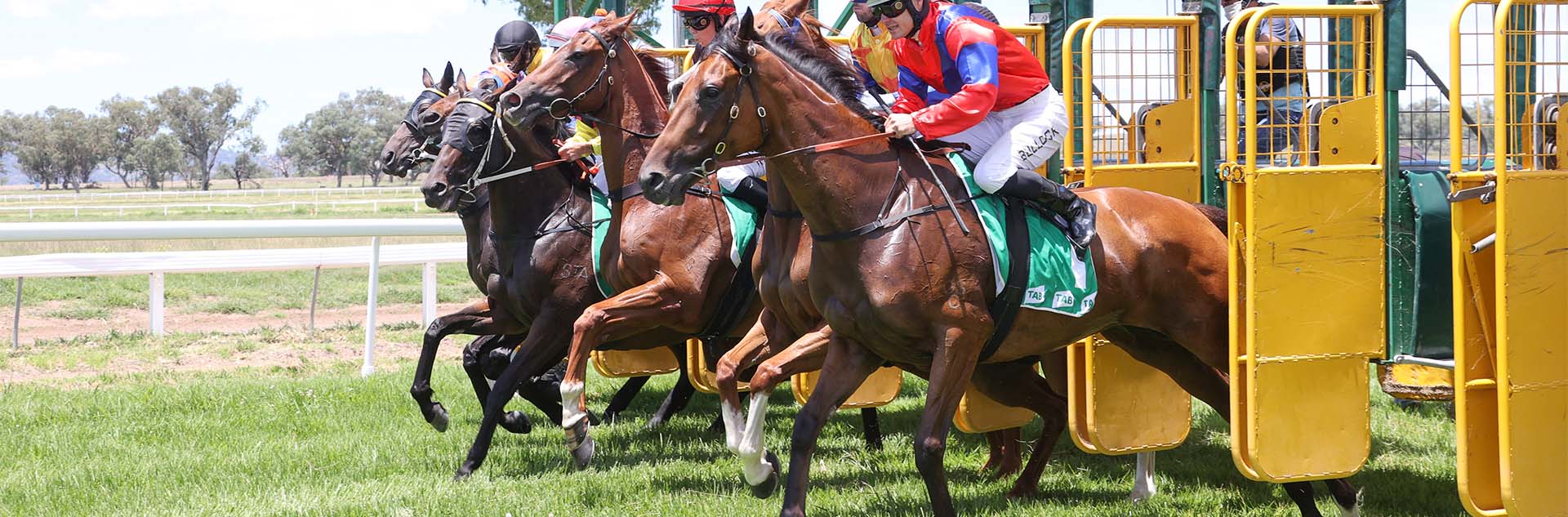 Race Day Events - Quirindi Jockey Club | The Show Course of Country Racing