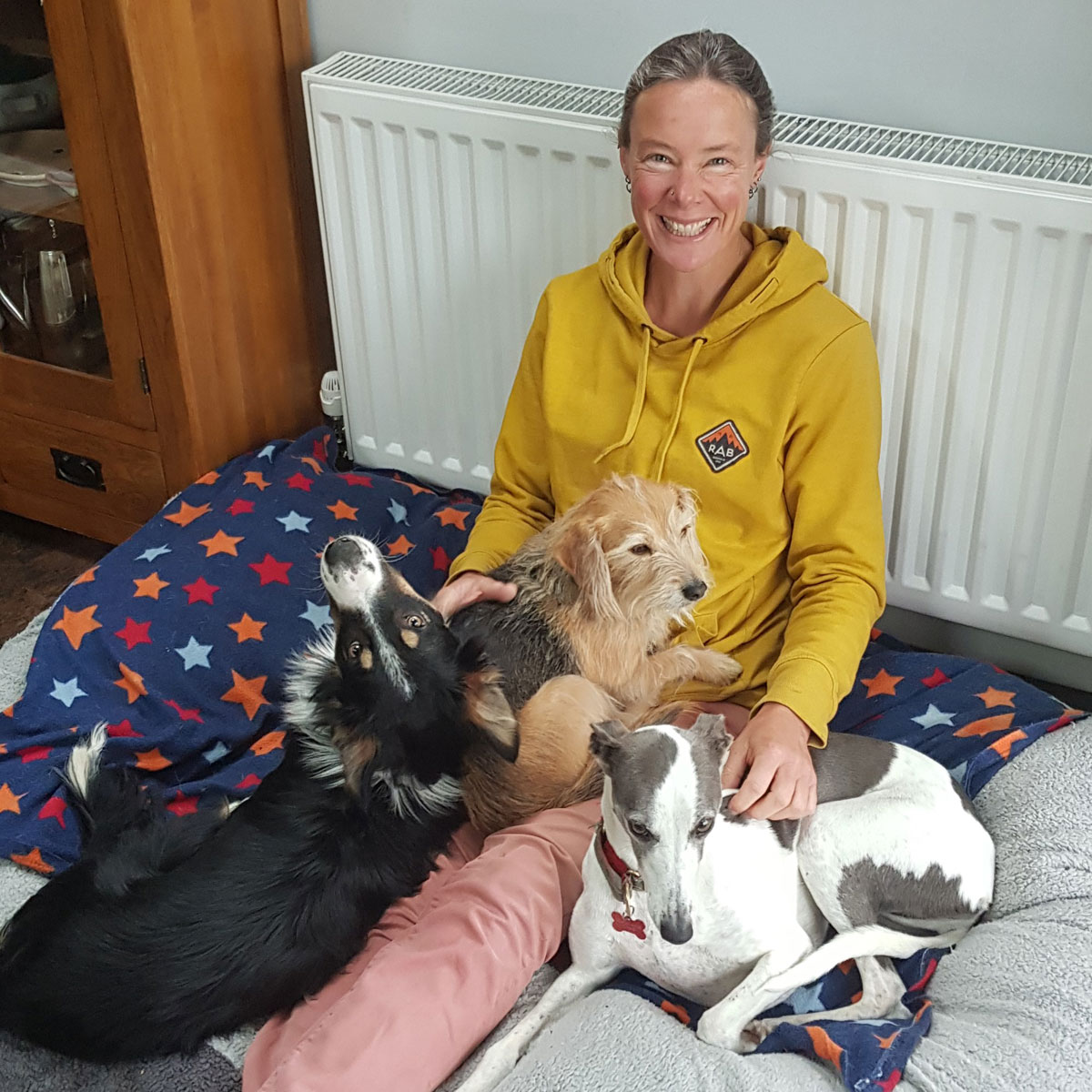 Behaviour Veterinary Practice