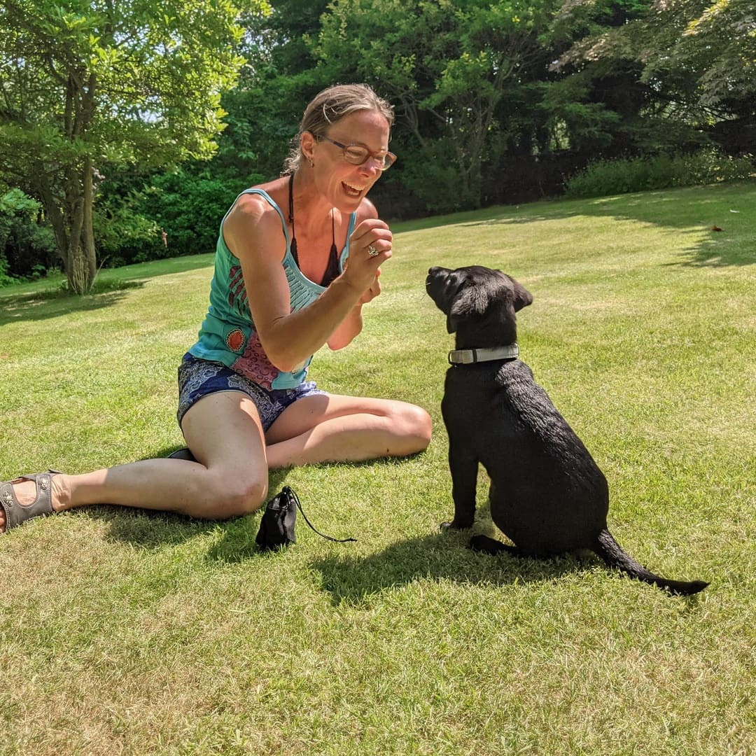 Behaviour Veterinary Practice