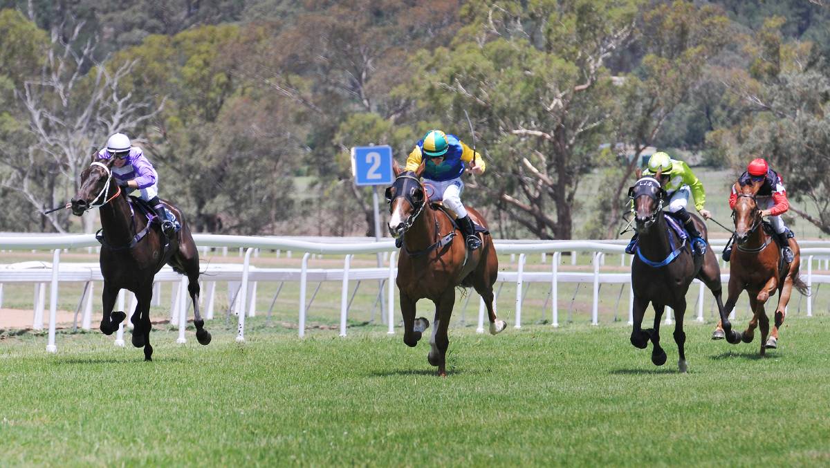 About - Quirindi Jockey Club | The Show Course of Country Racing