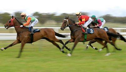 About - Quirindi Jockey Club | The Show Course of Country Racing