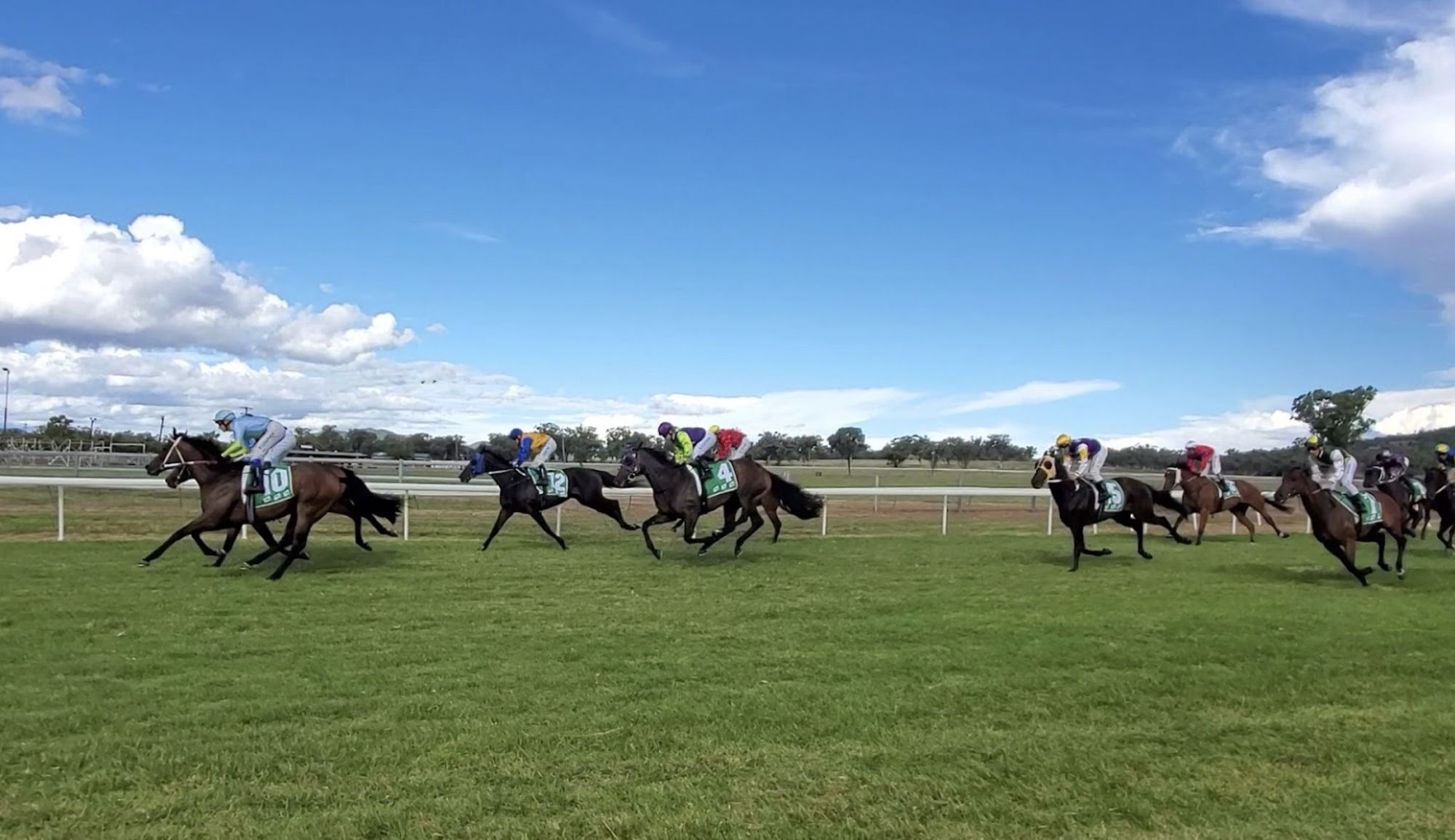 Quirindi Jockey Club | The Show Course of Country Racing