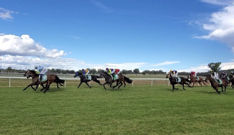 Quirindi Jockey Club | The Show Course of Country Racing