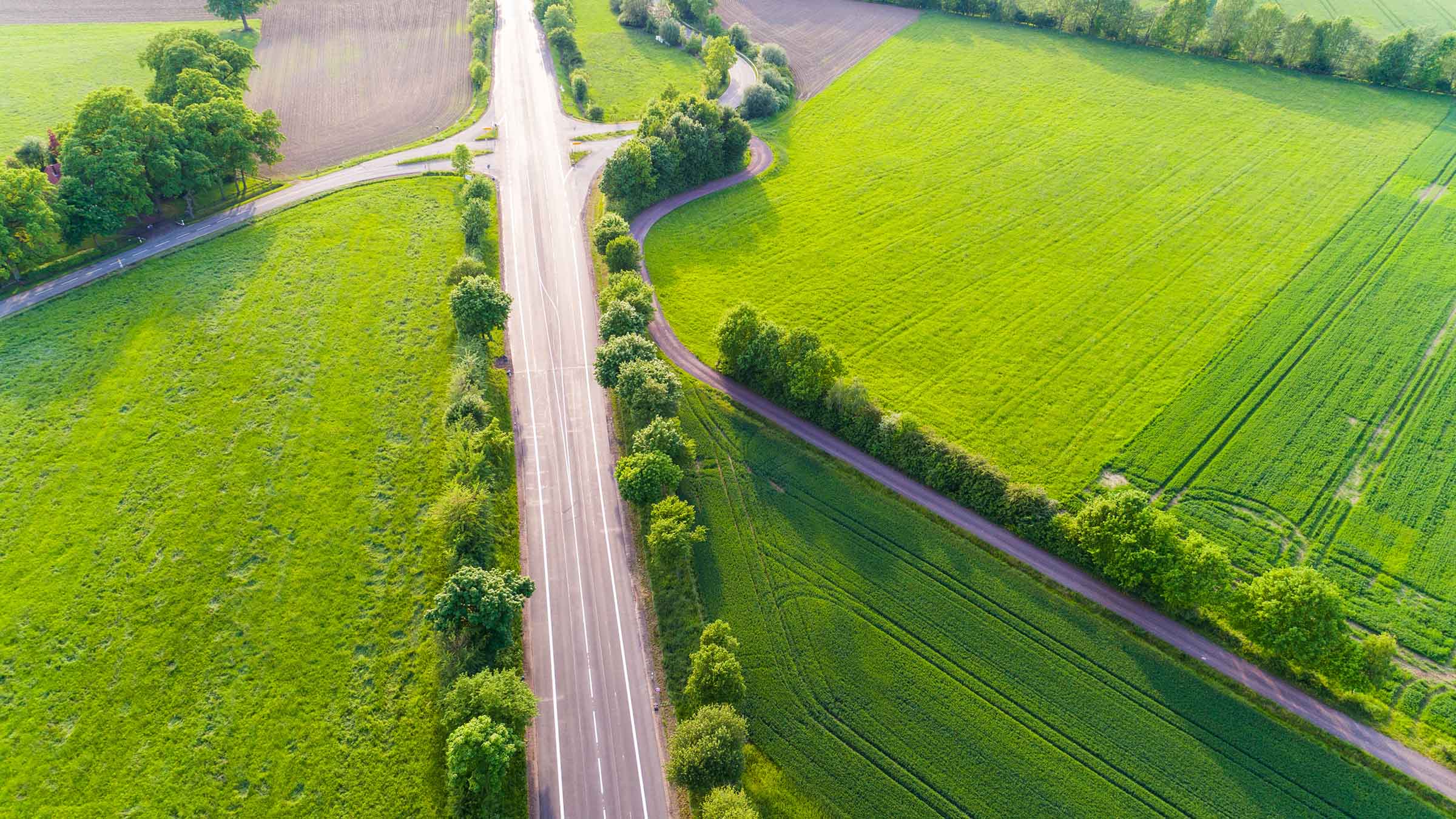 Green Infrastructure & Land Management | EnviroCentre Scotland ...