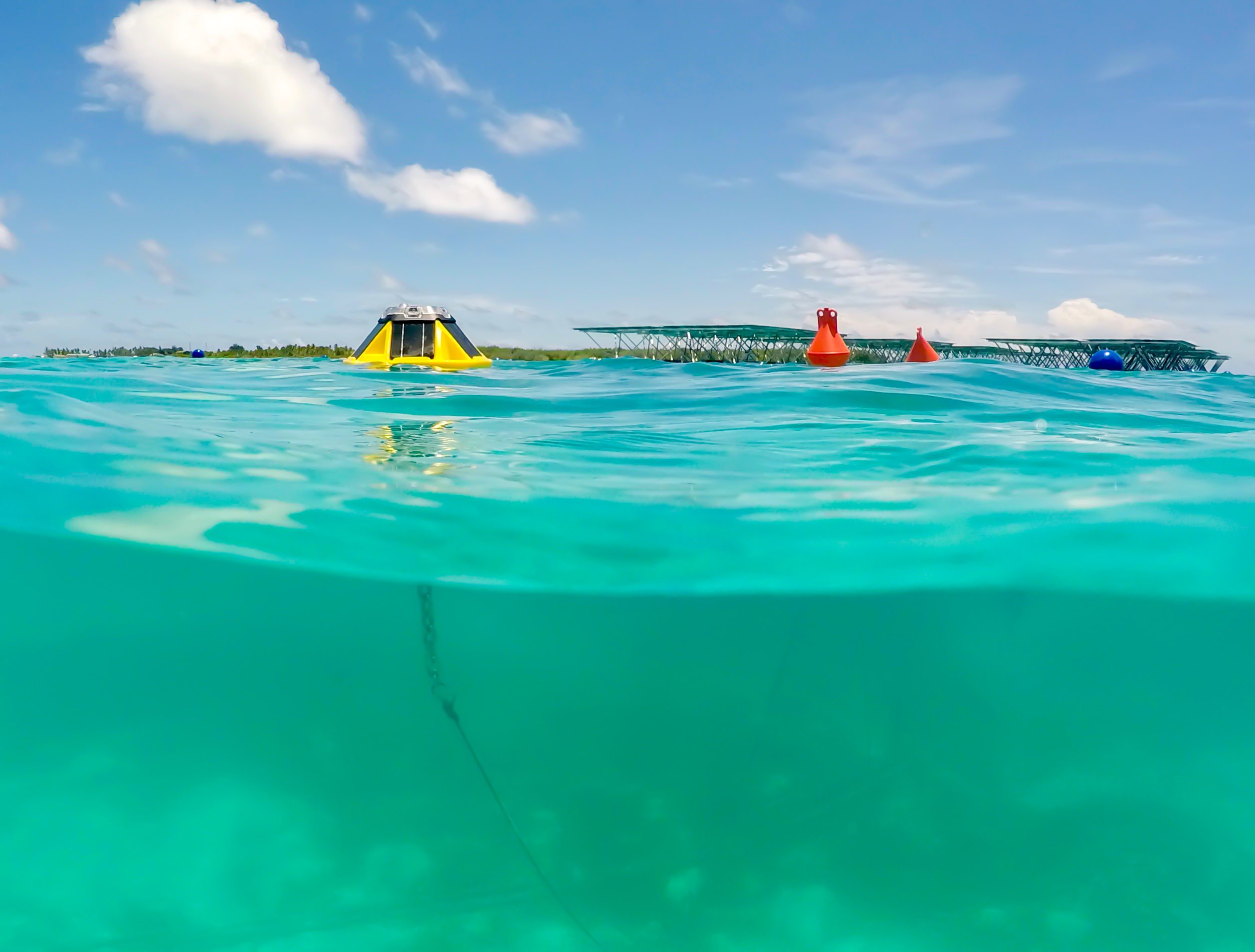 Swimsol Incorporates Spotters into their Design Process for Floating ...