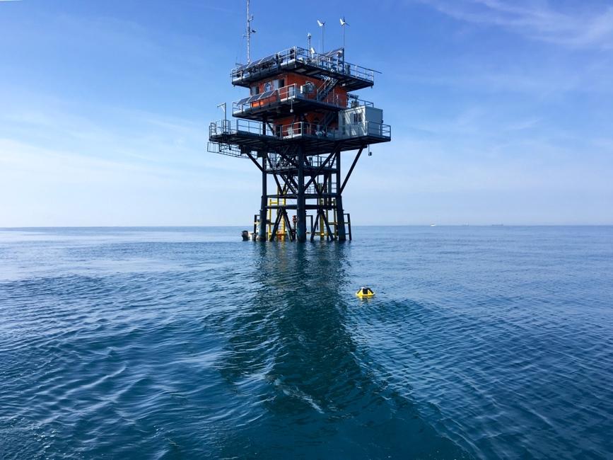 Spotter Meets 3D Vision in the Mediterranean Sea