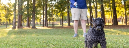 Resources | MRC Pinecrest