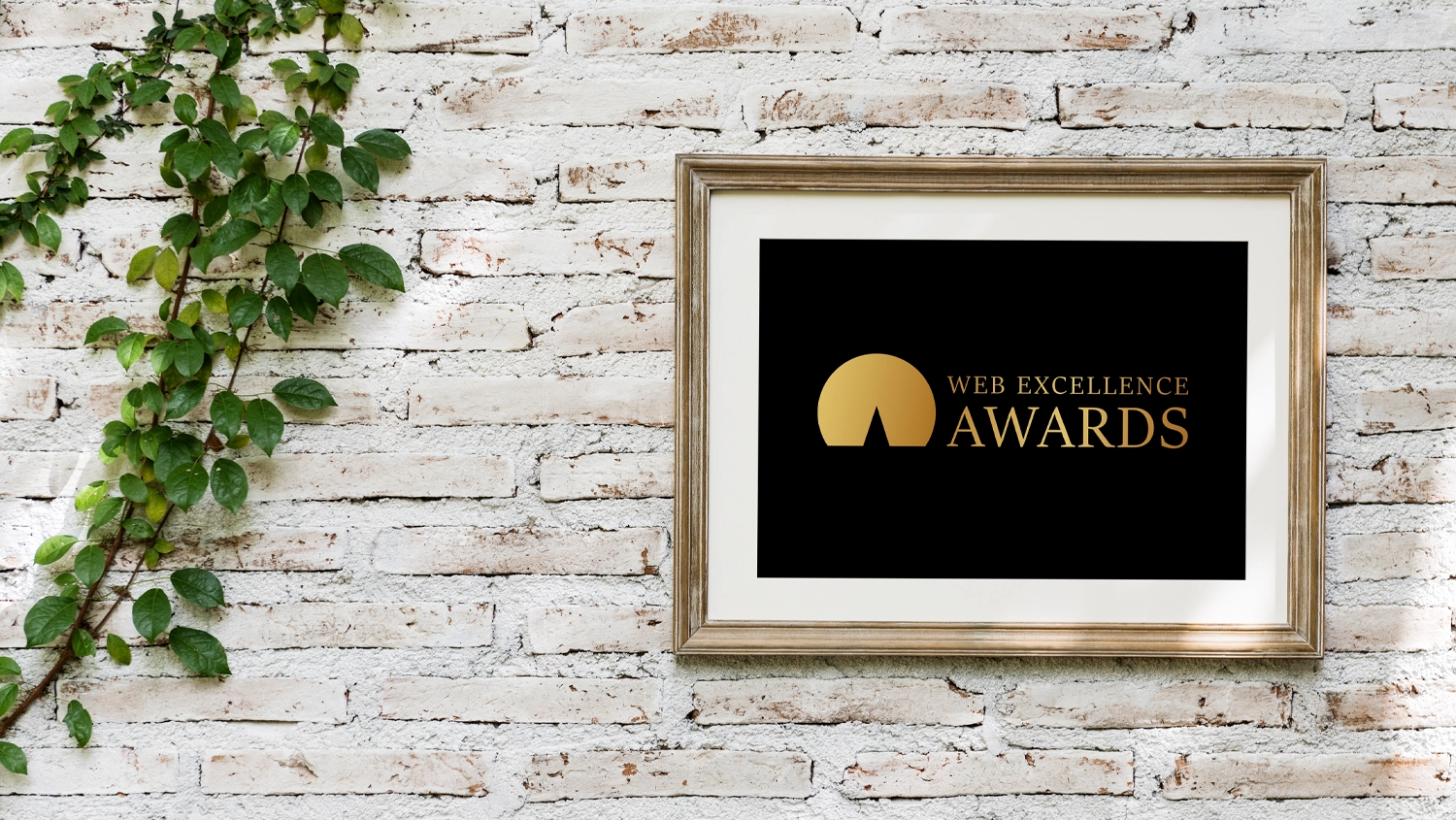 Winner of 2nd International web design award for client project.