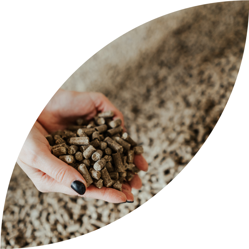 Eastgrain | About us