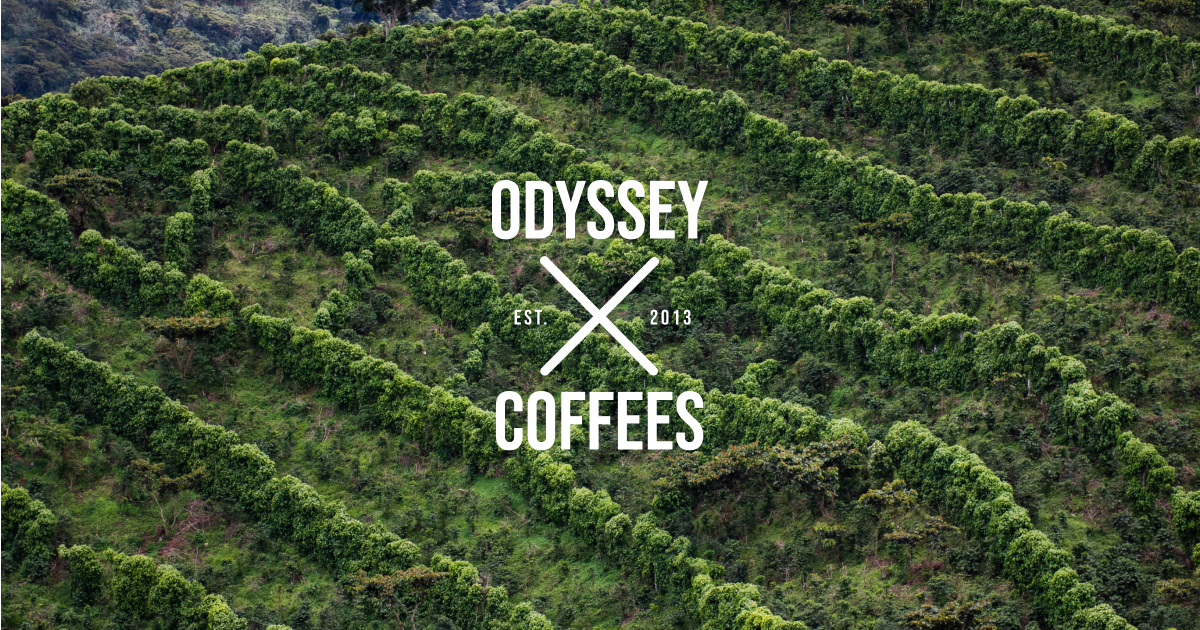 About | Odyssey Coffees