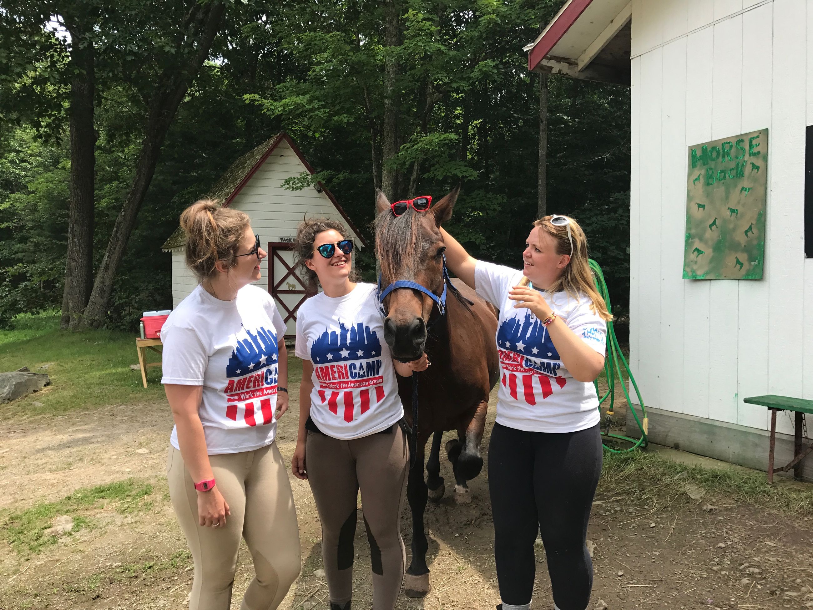 What to Expect of Camp Counselor Training [Details & Examples] | AmeriCamp