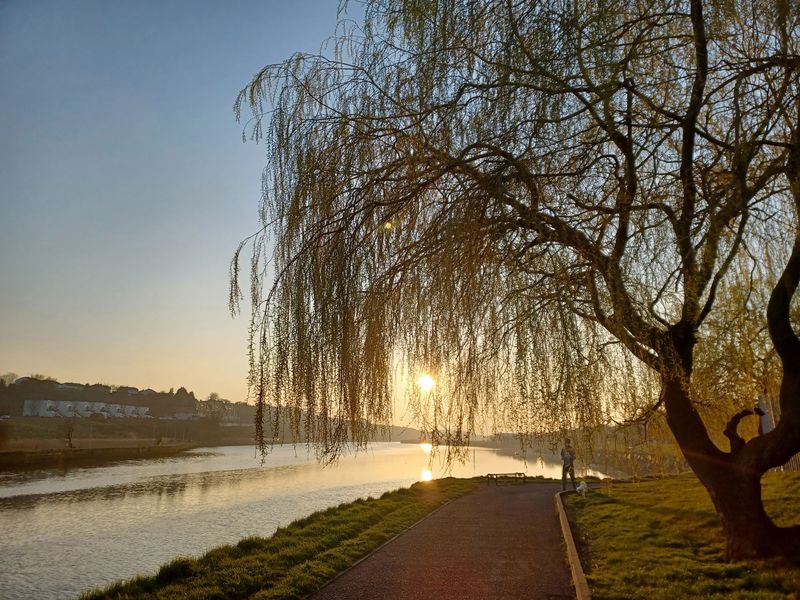 Boyne Valley Camino - Map & Guide