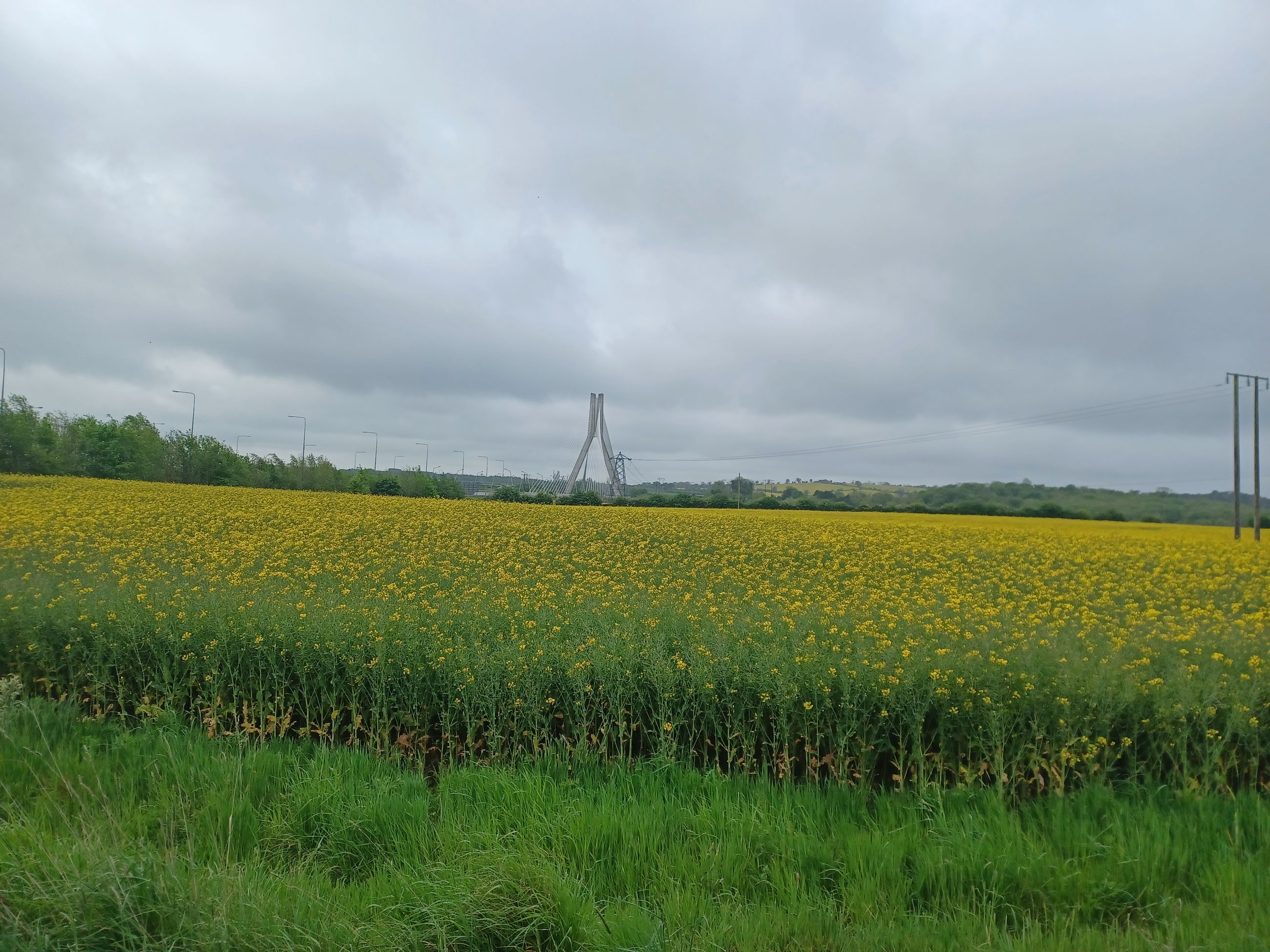 Boyne Valley Camino - Map & Guide